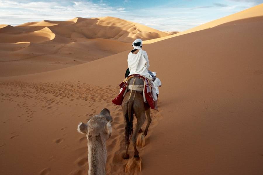 Wüste & Meer mit Marrakesch (11 Tage / 10 Übernachtungen) in Marrakech